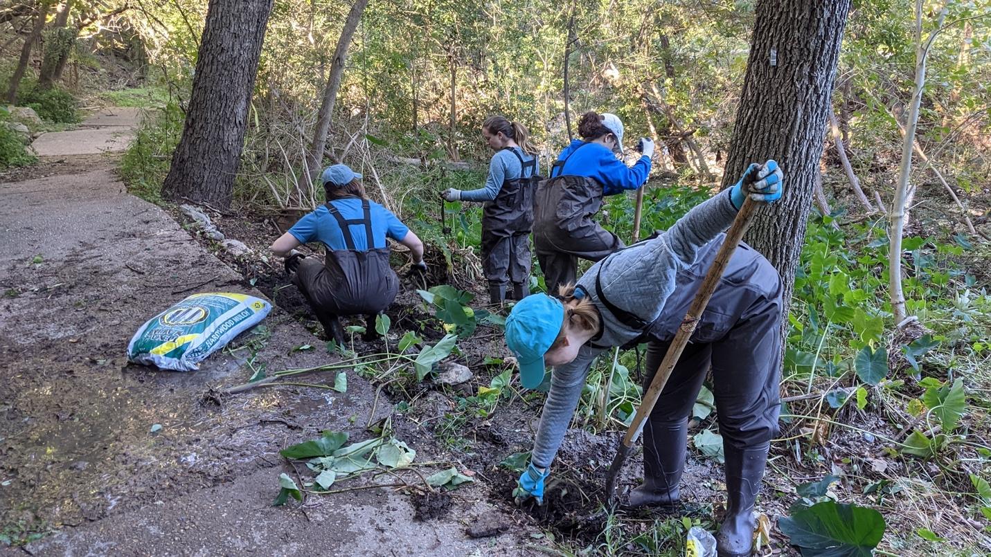 Ecological Restoration at Seiders Springs - Shoal Creek Conservancy