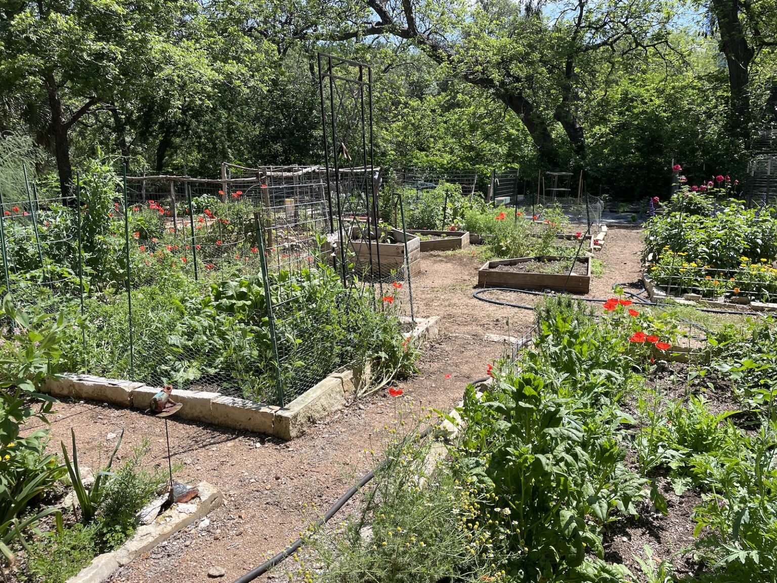 Community Gardens in the Shoal Creek Watershed - Shoal Creek Conservancy