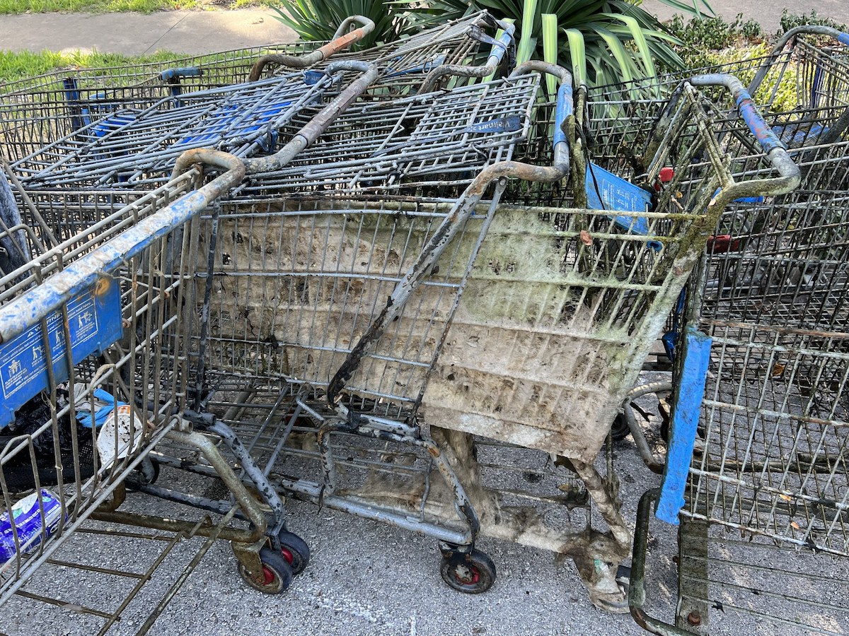 Shoal Creek Shopping Cart Corral 2025 Recap - Shoal Creek Conservancy