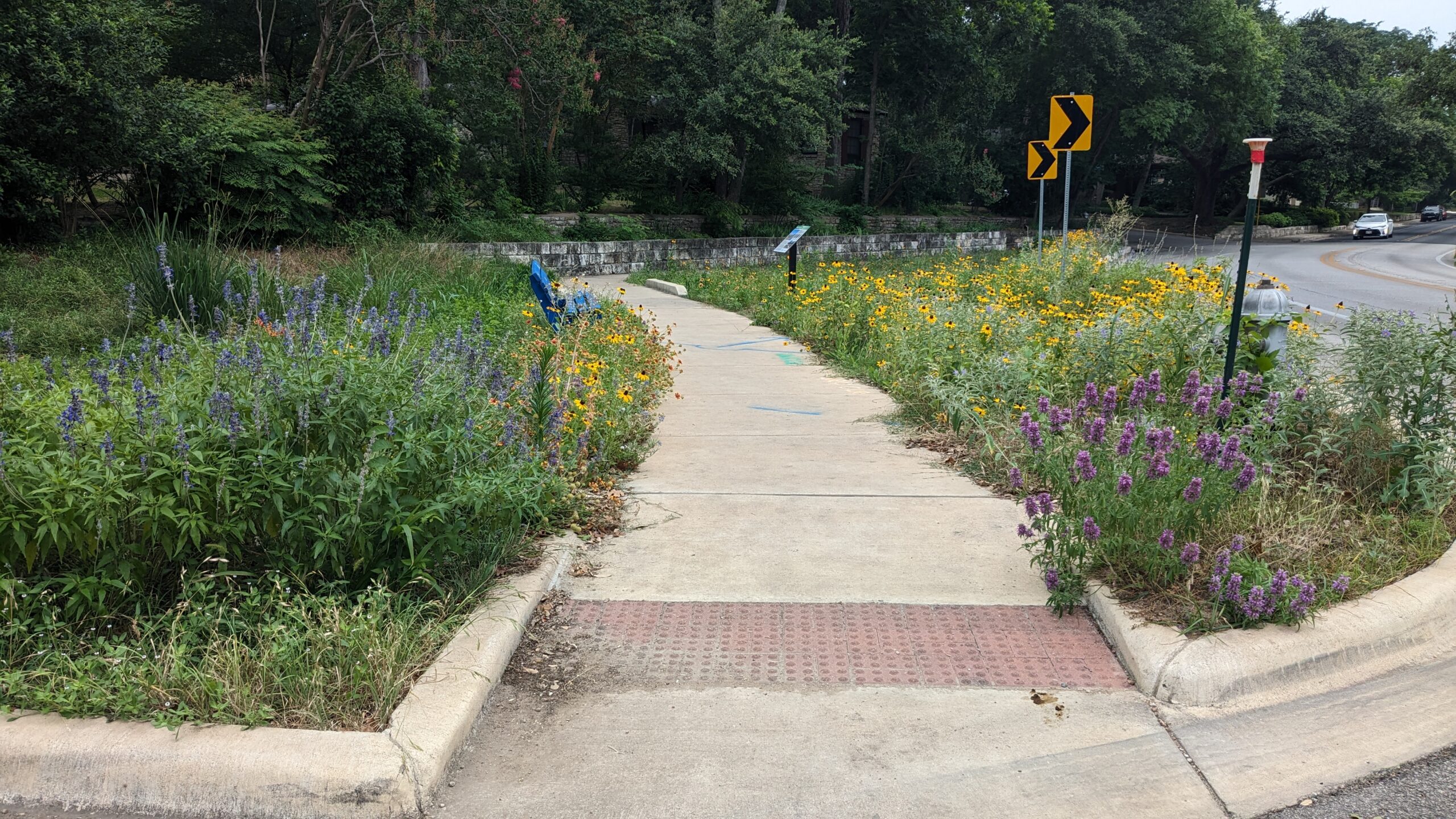 2025 In Review - Shoal Creek Conservancy